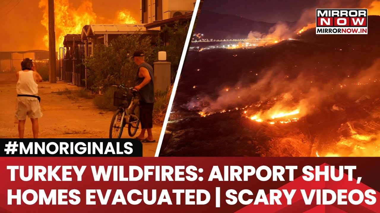 Wildfires Continue To Ravage Izmir For Second Day, Turkish Firefighters ...
