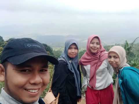 Wisata Kuningan Kopi Botanika - YouTube