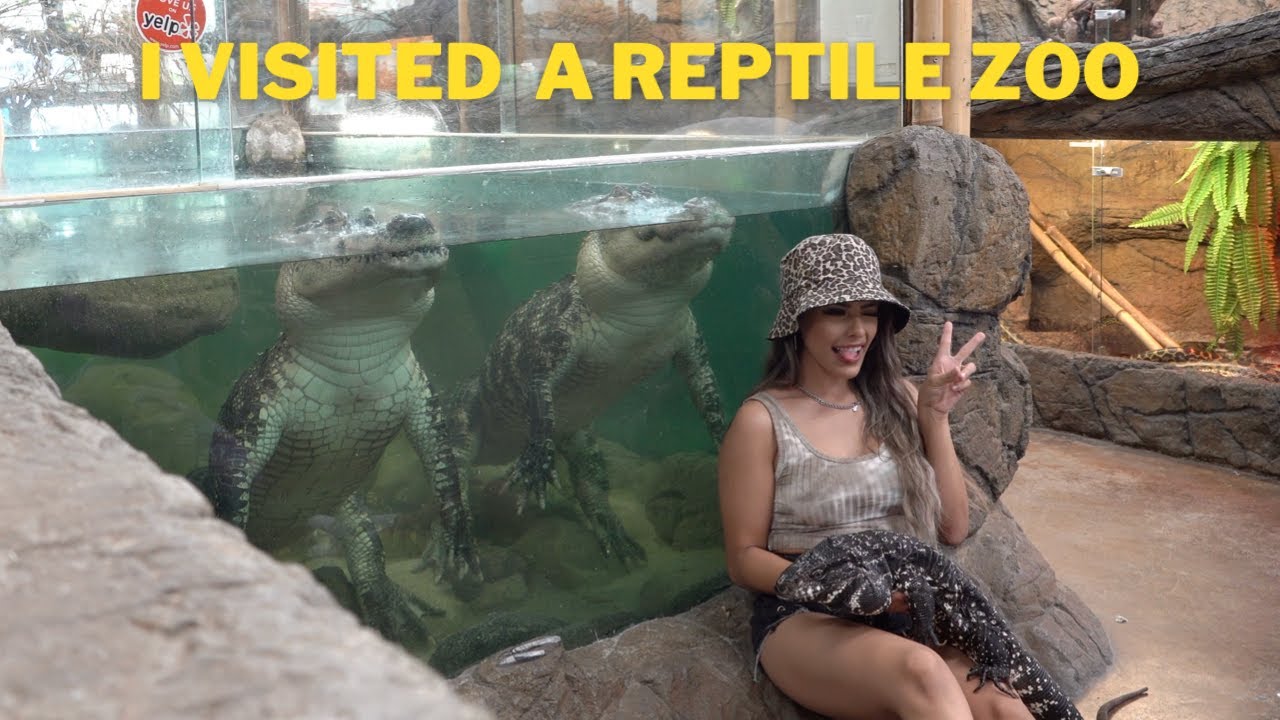 I Visited a Reptile Zoo | Queen Cyn - YouTube