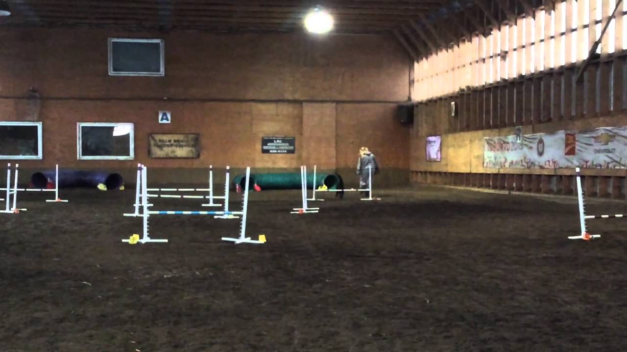 Sam and Winnie - 12 weaves - YouTube