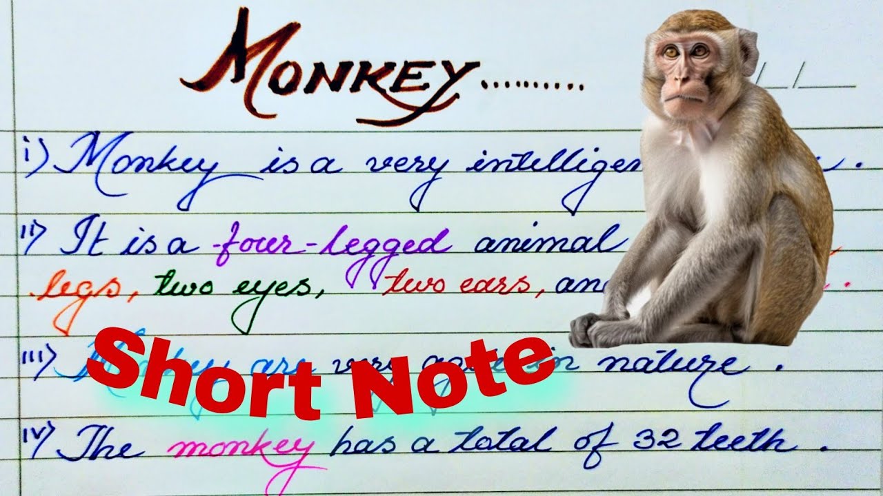 Monkey essay in English | 10 lines on Monkey in English/Essay on monkey ...