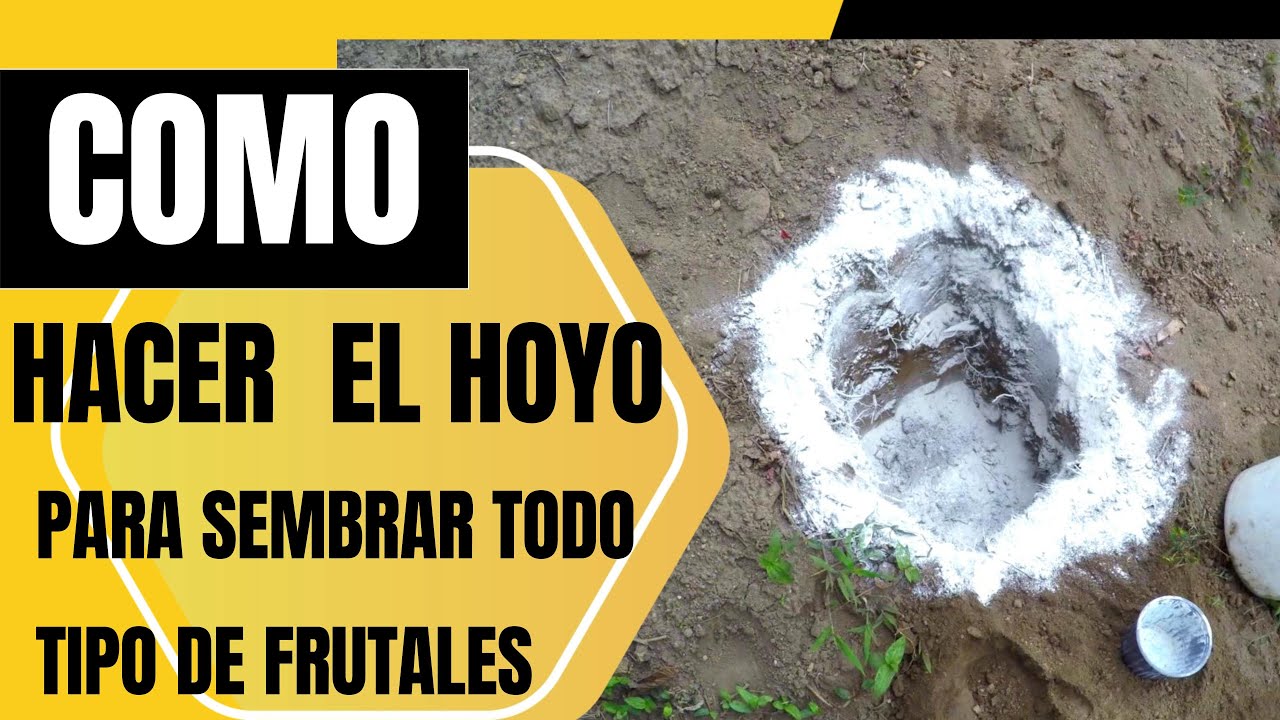 CÓMO HACER HOYOS O ORIFICIOS PARA SEMBRAR ARBOLES FRUTALES FACIL !!! 🌳🌳 ...