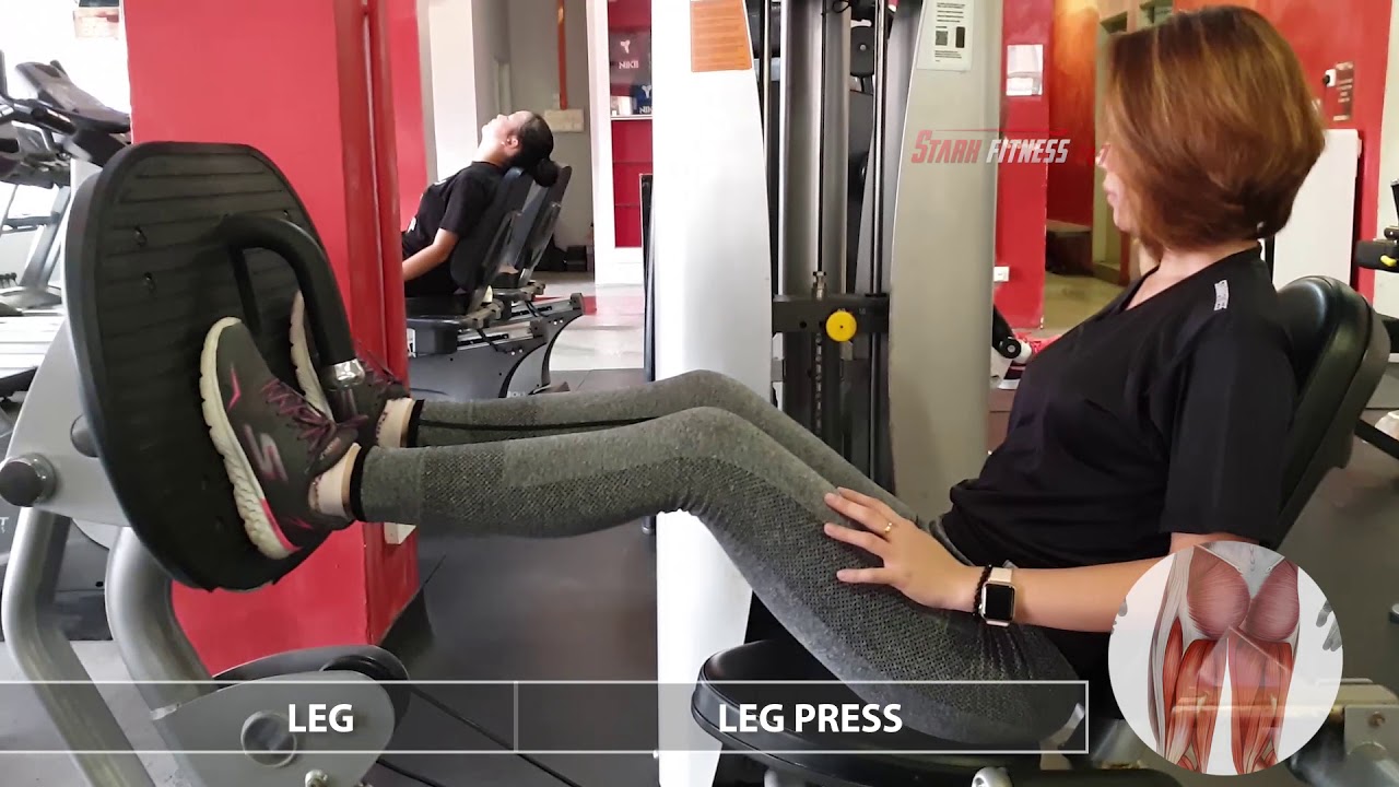 Back leg - Leg press - YouTube