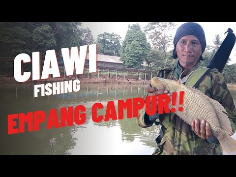 BARU LAGI ‼️ PEMANCINGAN CIAWI PERUMPUNG IKAN NYA BADAG" - YouTube