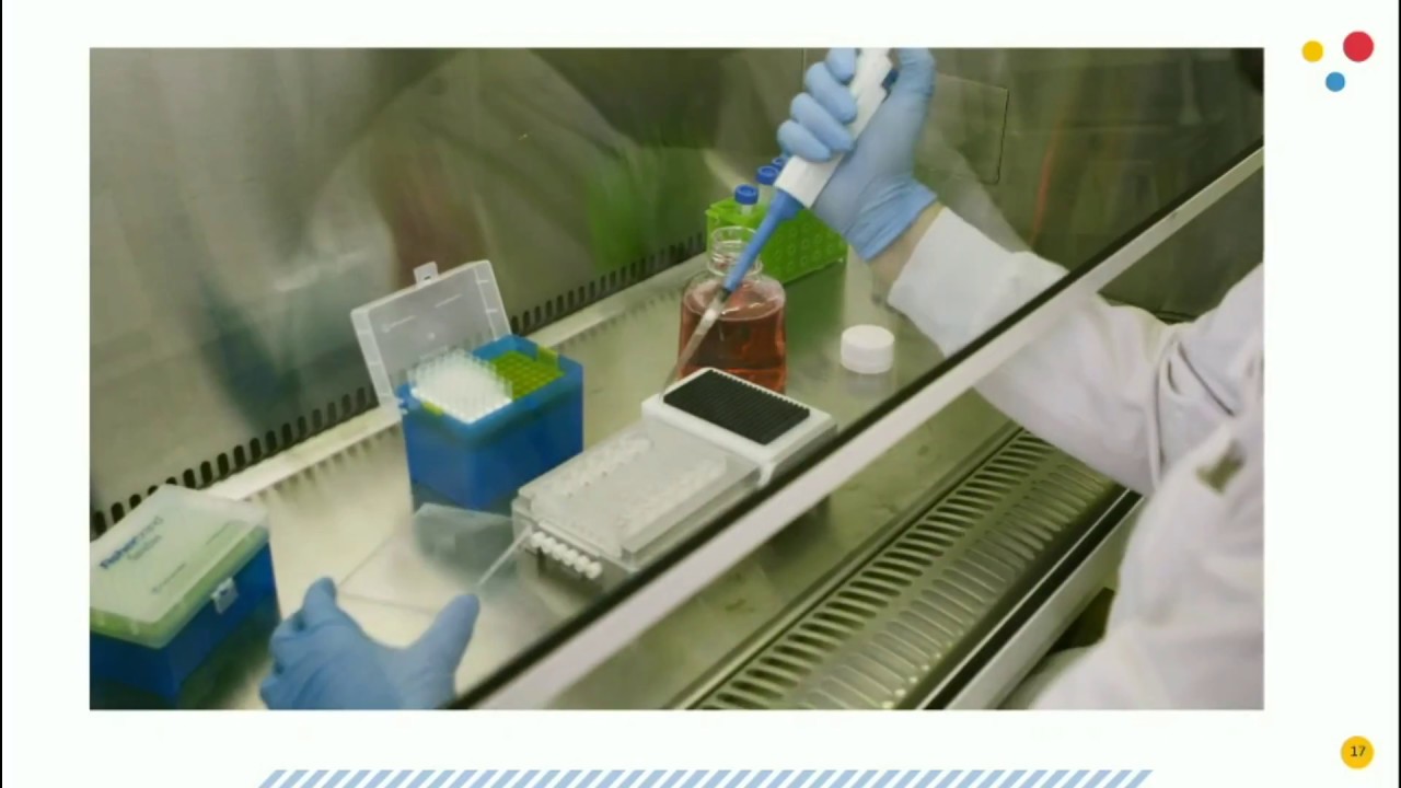 WEBINAR: Organ on a Chip: Improving Preclinical Studies for Faster Drug ...