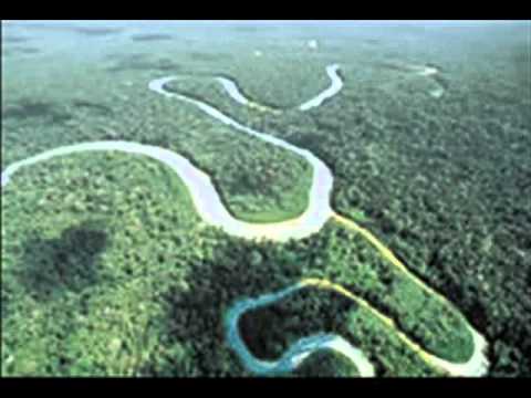 BIOMAS DE VENEZUELA.wmv - YouTube