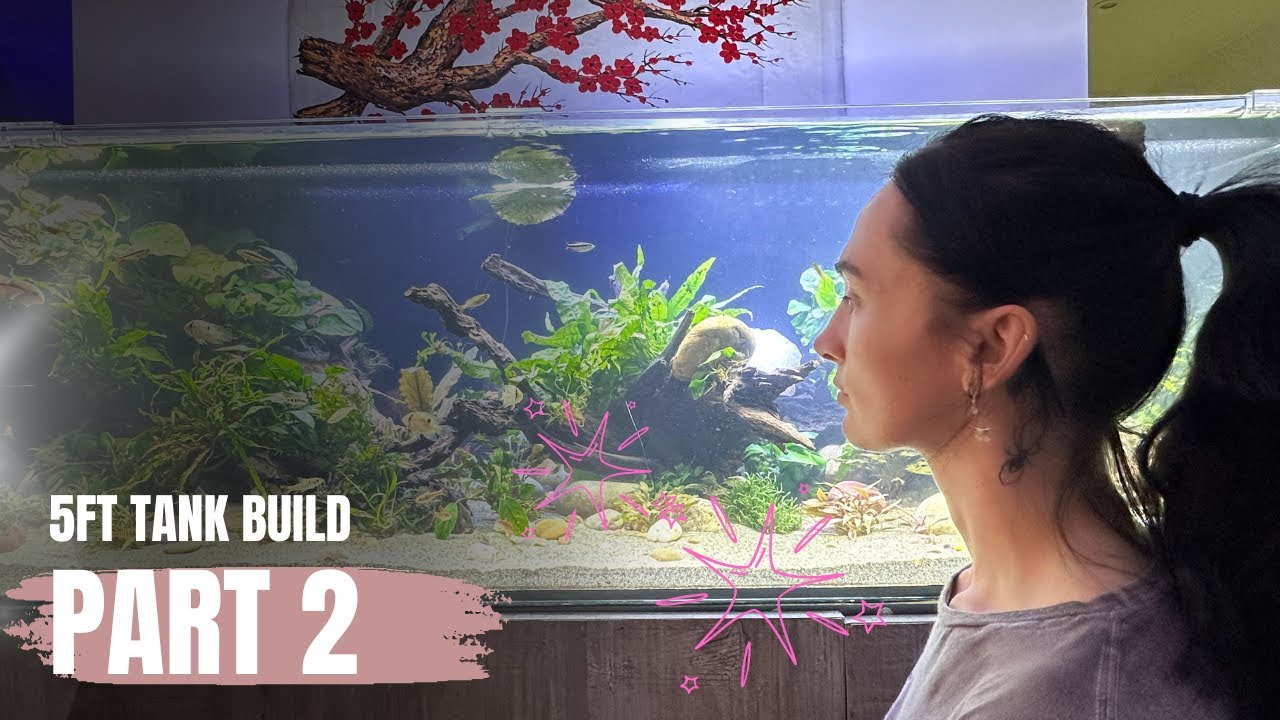 5ft Tank Build Continues | Water In + Fish Added! - YouTube