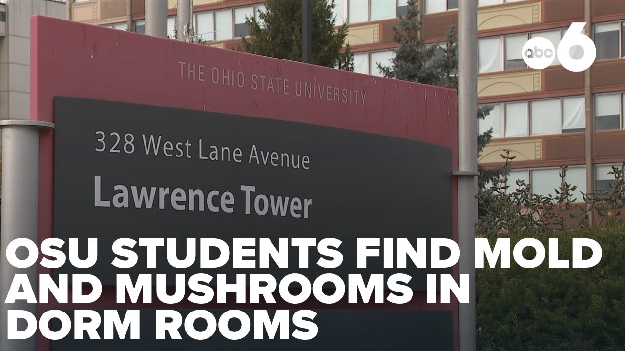 Concerns grow over mold and mushrooms in OSU dorms - YouTube