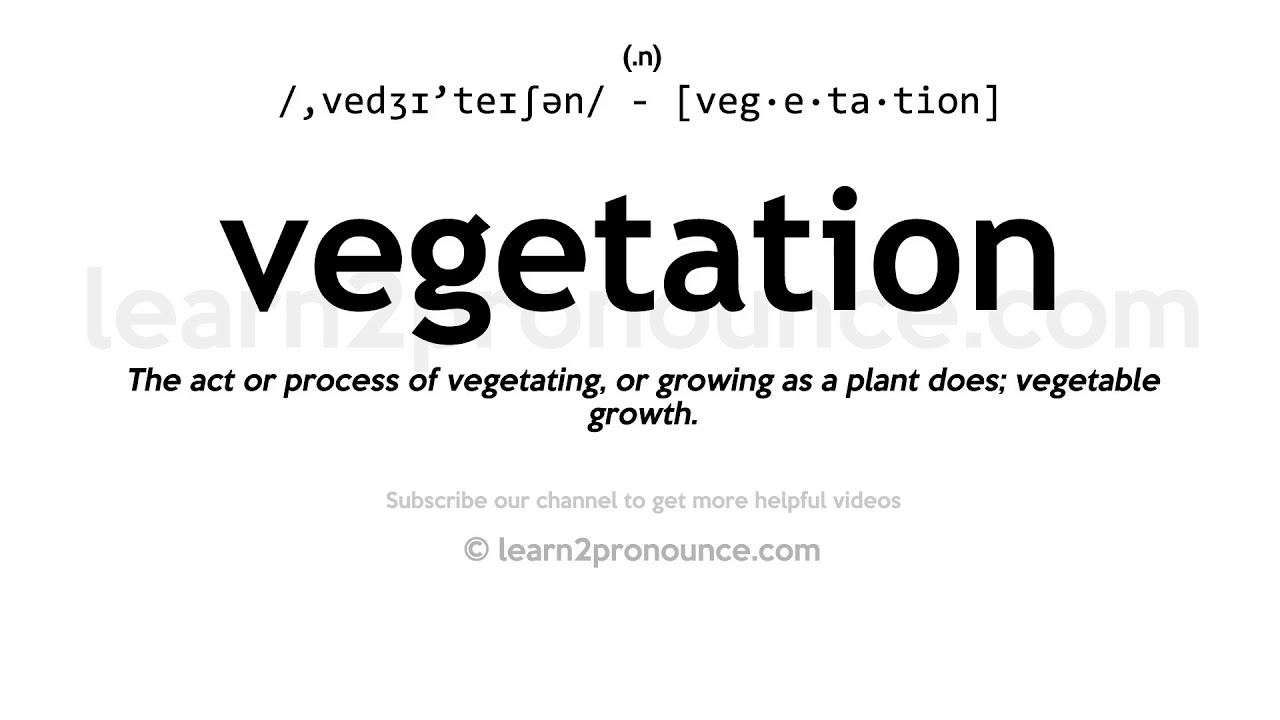 Pronunciation of Vegetation | Definition of Vegetation - YouTube