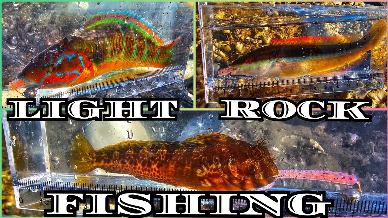 Light Rock Fishing pescando con el Alien y el Montaje Tanago / Lrf ...