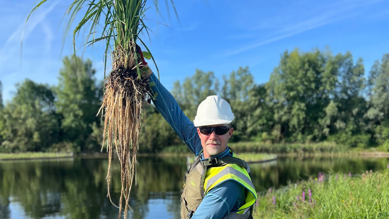 Floating Ecosystems in Witches Oak Reservoir in Derbyshire - YouTube