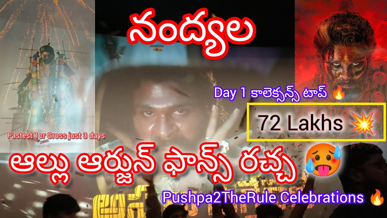 PUSHPA 2 CELEBRATIONS FULL VIDEO NANDYAL | ALLUARJUN | WILDDD FIREEE ...