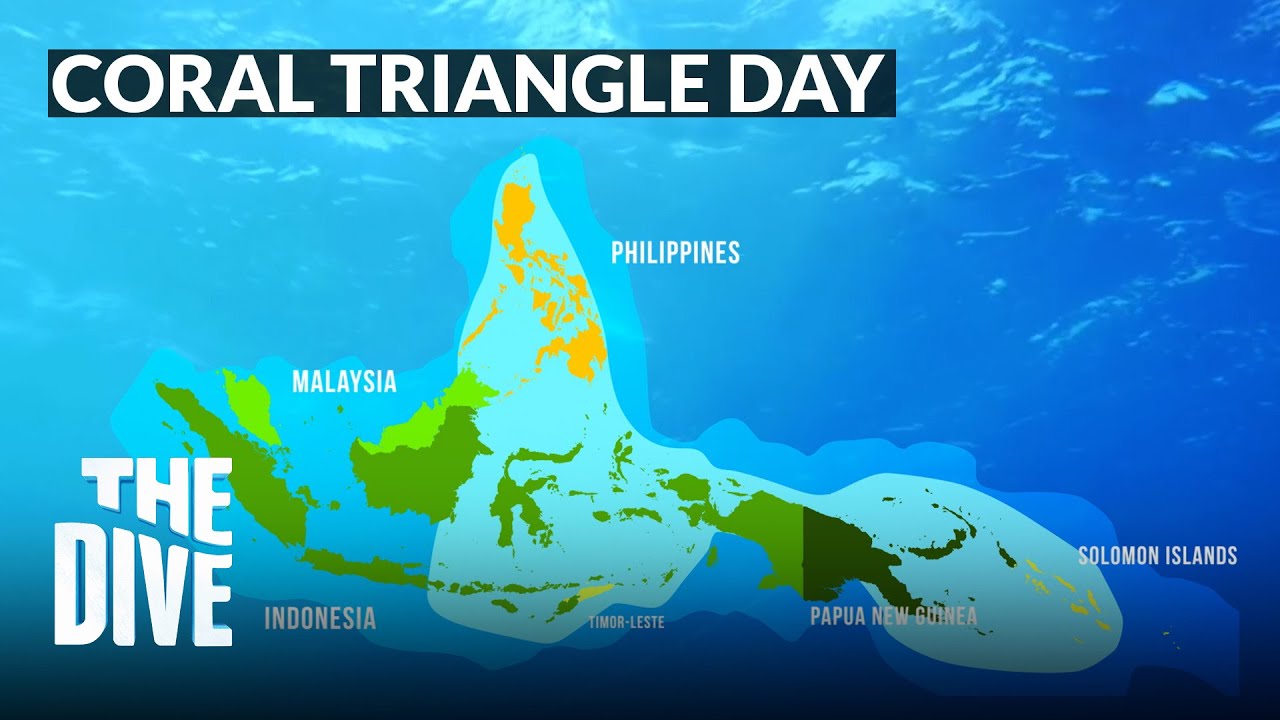 Happy Coral Triangle Day 2021! #TheDivePH - YouTube