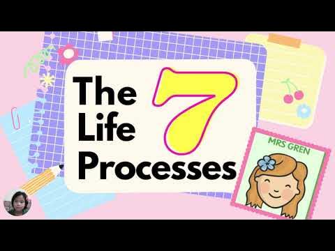Seven (7) Life Processes | Mrs. GREN - Grade 3 - YouTube