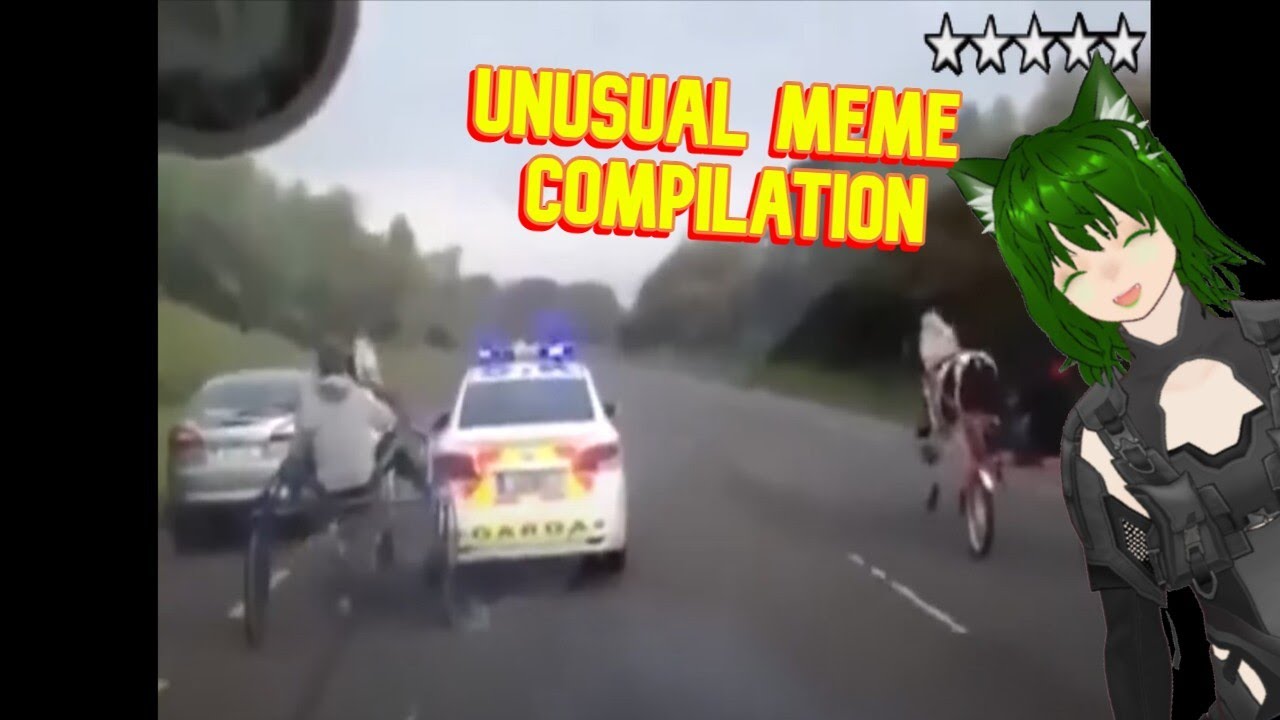 Unusual Memes That Will Chase You - Unusual Meme Compilation - YouTube
