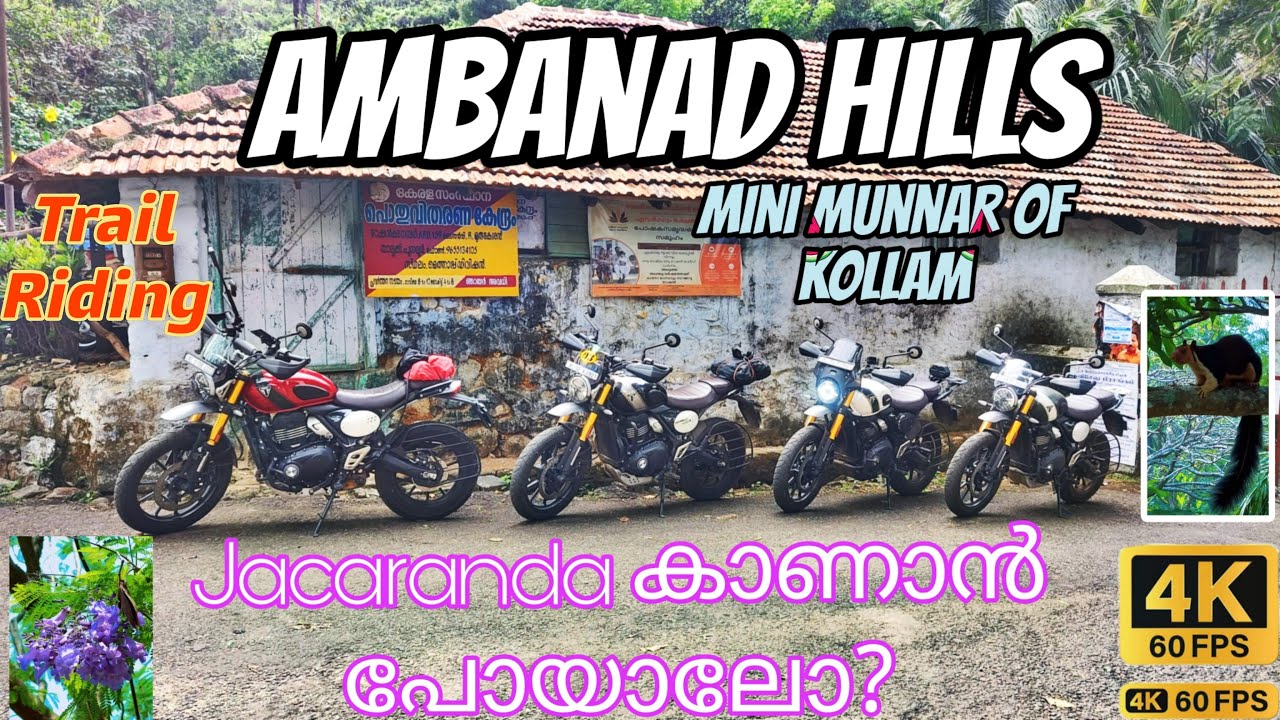 Ambanad Hills | Mini Munnar Of Kollam | Jacaranda Bloom | Complete ...