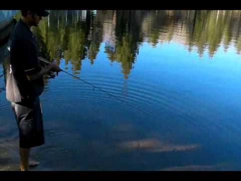How To Fish A Lip RipperZ Z Spoon for Trout and Crappie Fishing - YouTube