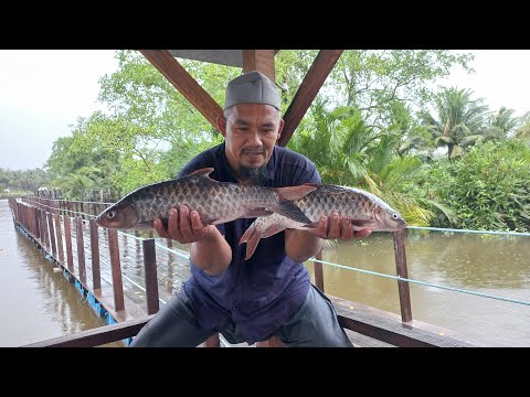 😏Masak ikan Kelah di tepi Jeti Suasana Kampung !!!😱 - YouTube