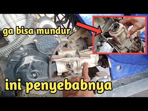 Gearbox Viar roda 3 hancur //TMS channel tutor - YouTube