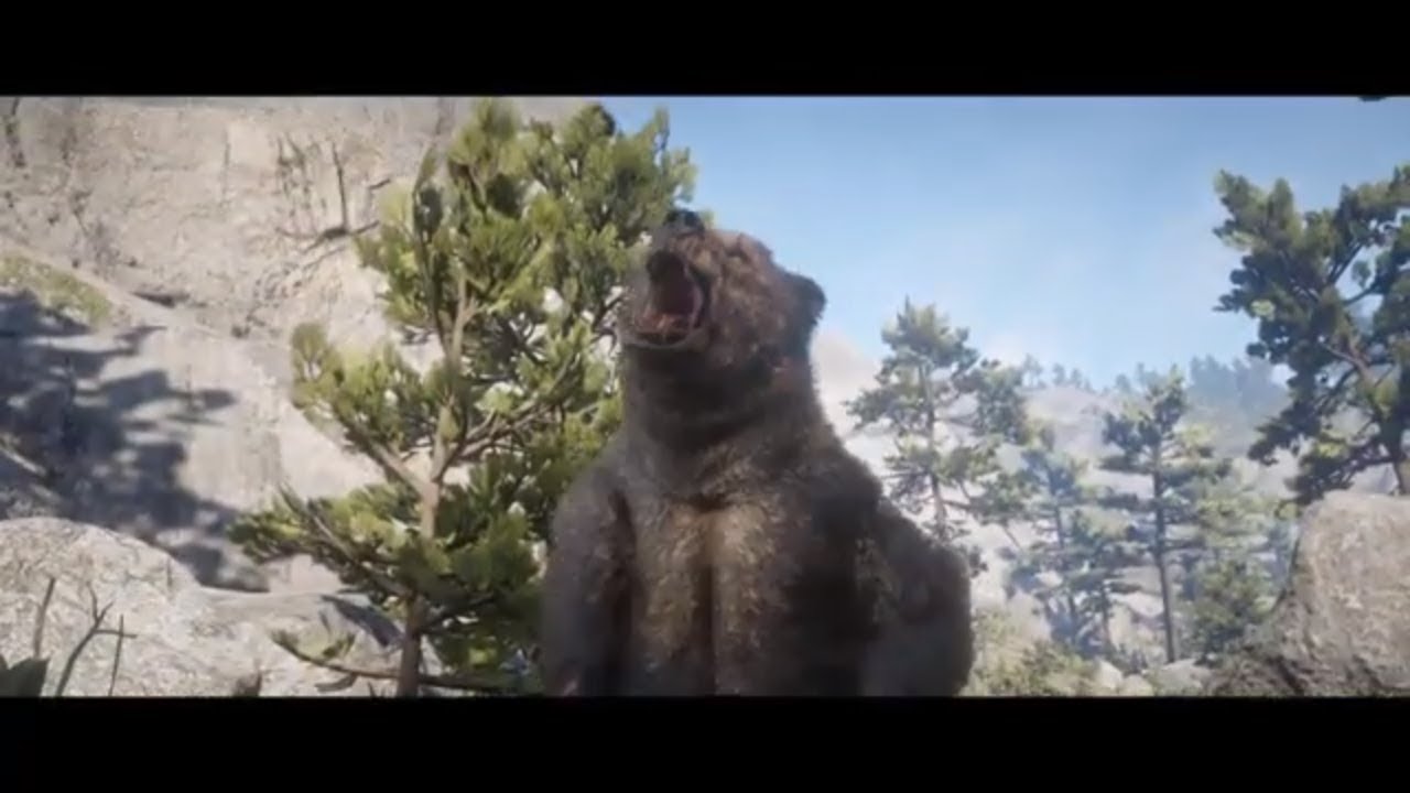 Black Bear Attcak Scene In Red Dead Redemption 2 | Black Bear Attack ...