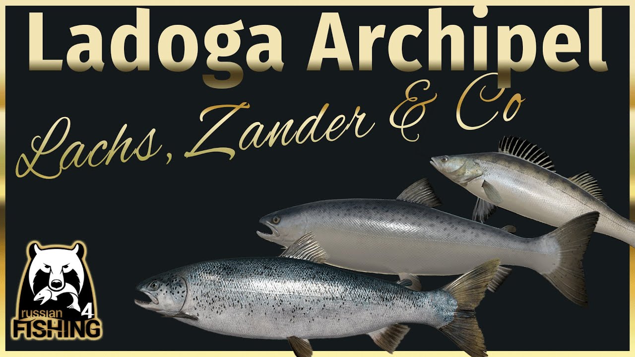 RF4 Ladoga Archipel - Lachs, Zander & Co Spot 2022 - YouTube