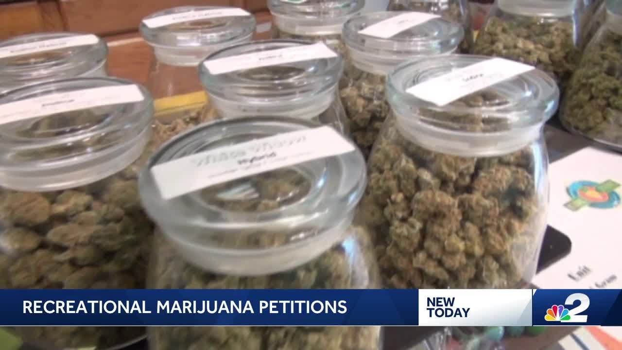 Smart and Safe pushes for recreational marijuana to be legalized in Florida with new petitions ...
