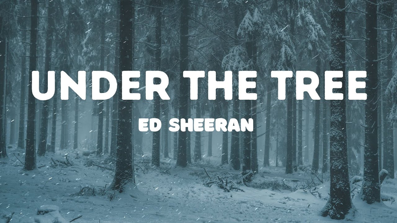 Ed Sheeran - Under the Tree - YouTube