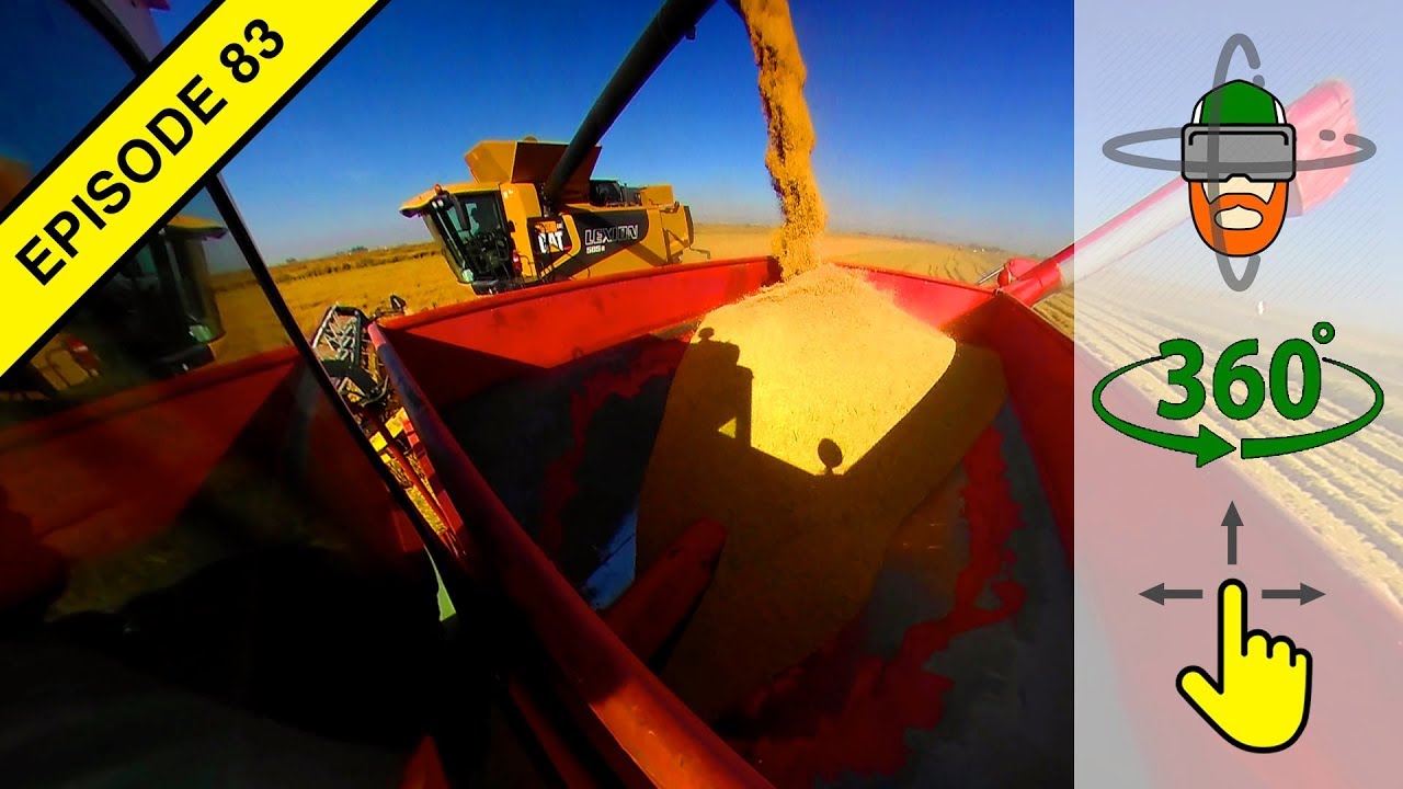 California's Unique Tractor: The "Bankout" aka Auger Wagon in Virtual ...