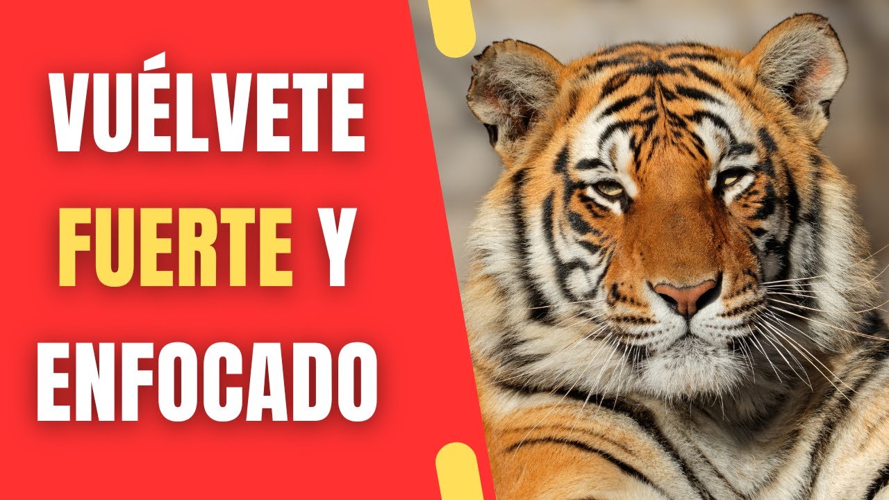 📌 Te quieren débil y distraído. Vuélvete fuerte y enfocado ...