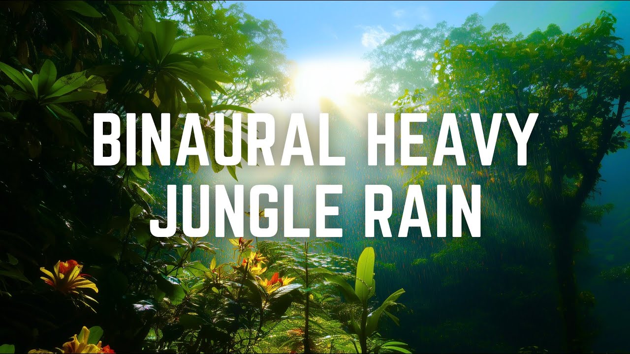 BINAURAL HEAVY JUNGLE RAIN & GENTLE BROWN NOISE | Black Screen | 12 Hrs ...
