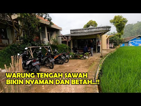 KEHUJANAN..!! BERTEDUH DI WARUNG PEDESAAN TENGAH SAWAH DENGAN PEMANDANGAN SUNGAI YANG INDAH