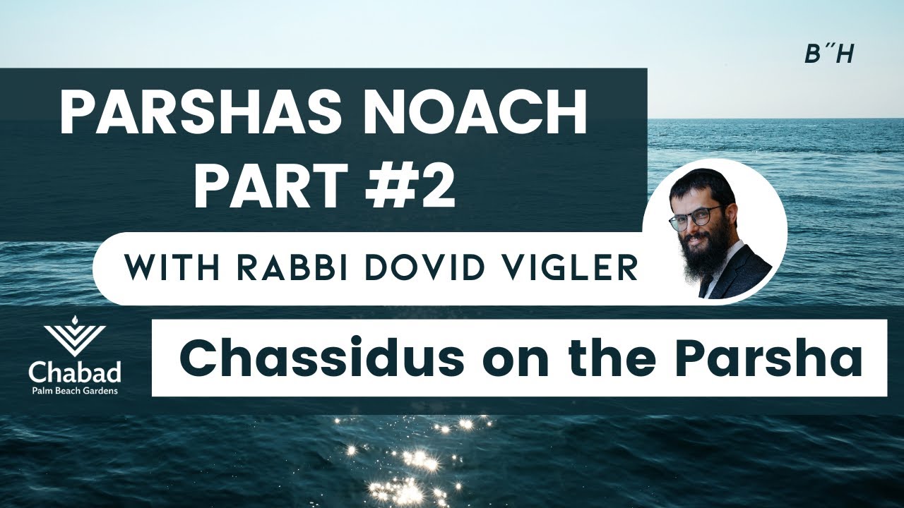 Parshas Noach #2 - Chassidus on the Weekly Torah Portion with Rabbi Dovid Vigler - YouTube