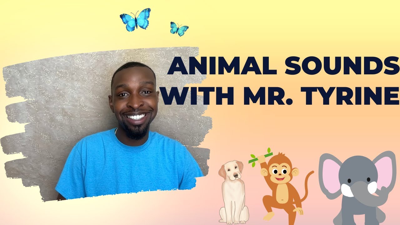 Learn With Me- Animal Sounds For Preschool/Toddlers - YouTube