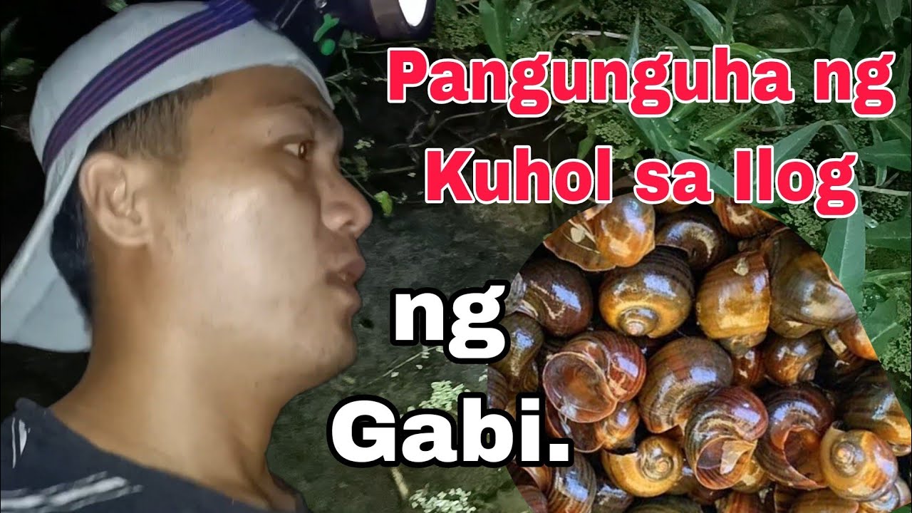 Snail Hunting in the River. | Pinakamasarap na Ulam galing sa ilog ...