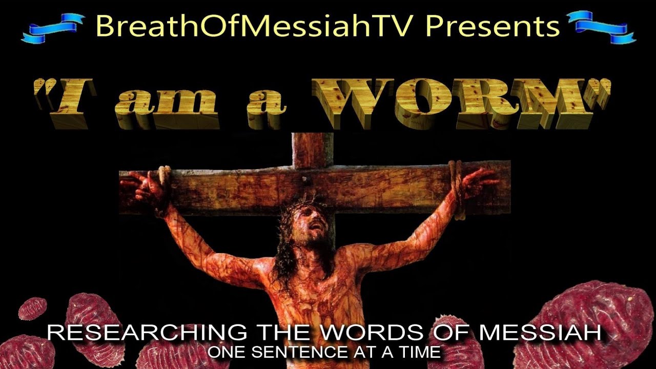 I am a WORM - YouTube