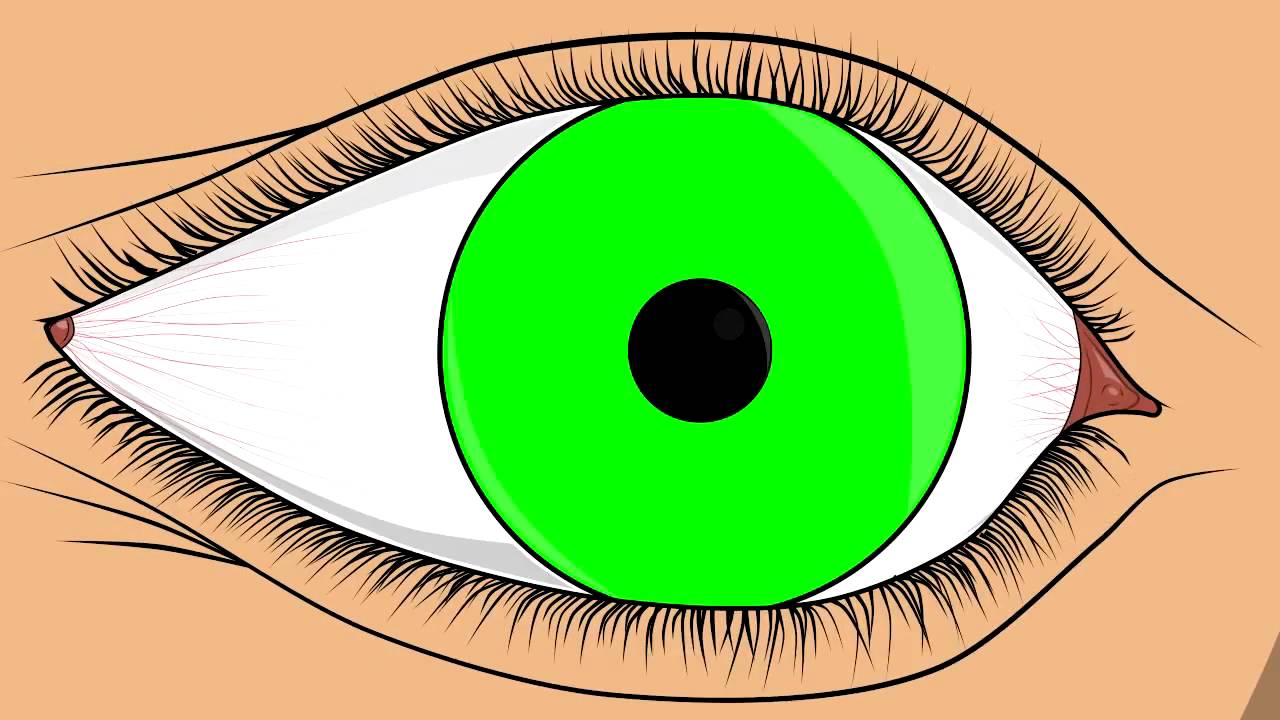 Animated Human Eye Transitions ~ Green Screen - YouTube