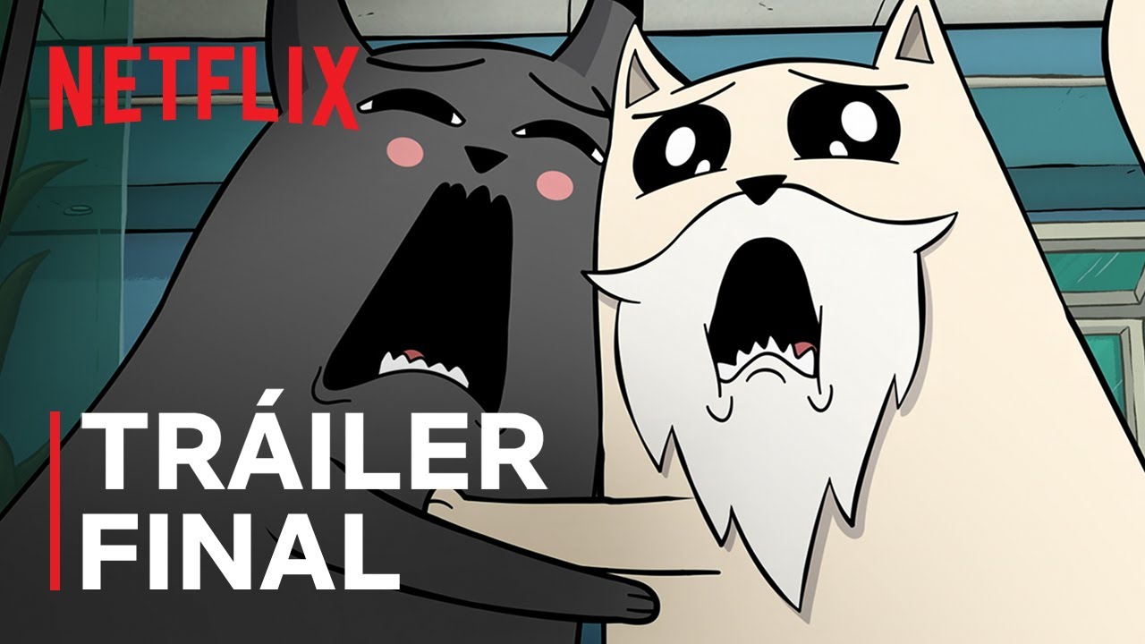 Gatitos explosivos | Tráiler de alto impacto | Netflix - YouTube