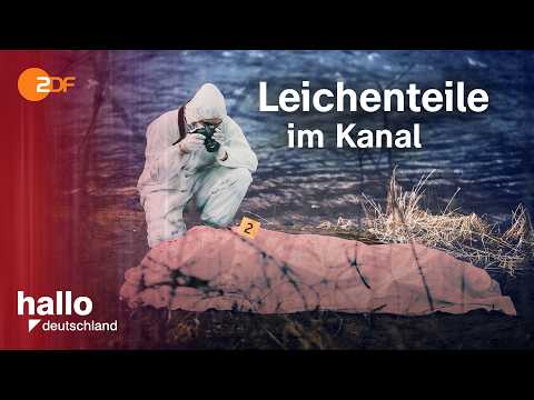Grauenhafter Fund: Wer zerstückelte einen Rentner? | ZDF True Crime
