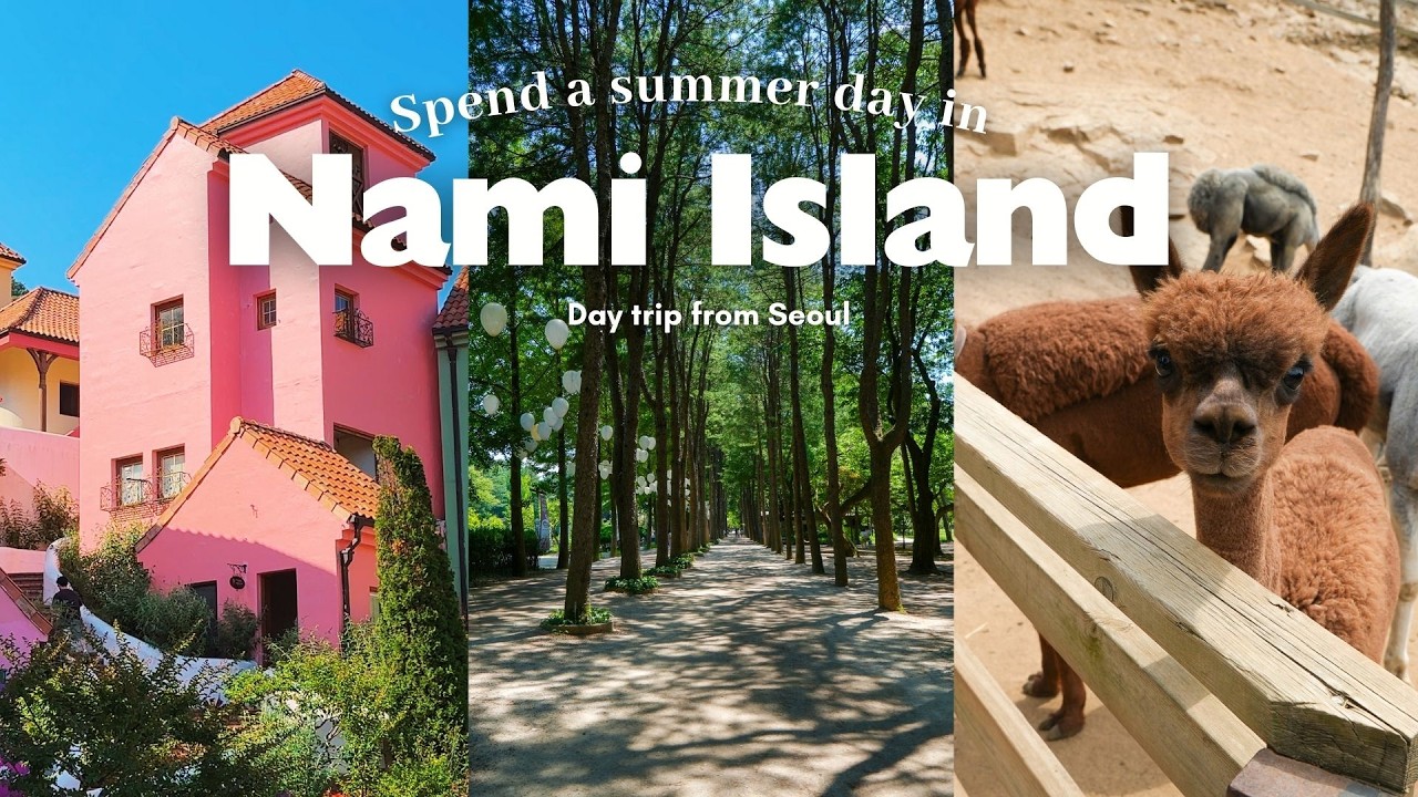 Day trip from Seoul, Korea | Summer day in Nami island | Alpaca world ...