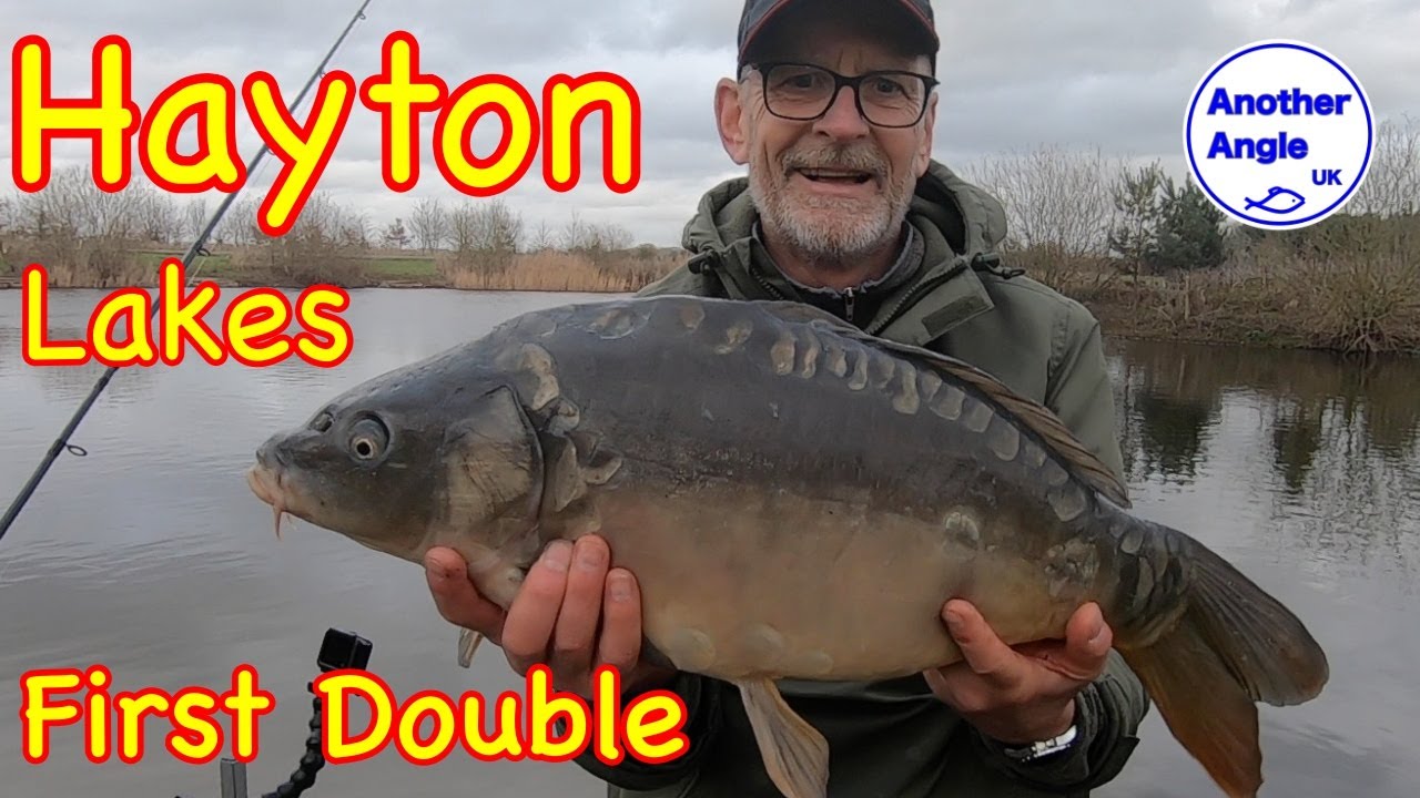 Hayton Lakes : Little Grebe : New Personal Best A Huge Mirror Carp ...