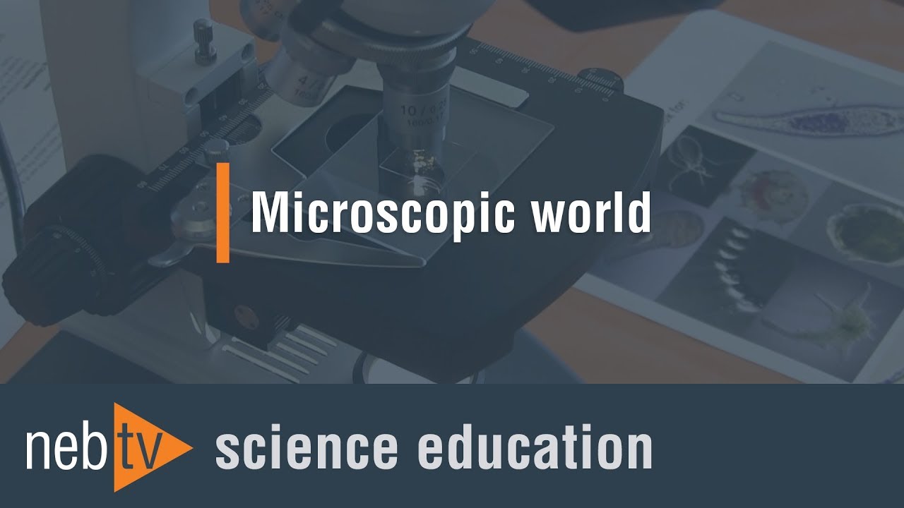 Kid Science - Microscopic world - YouTube