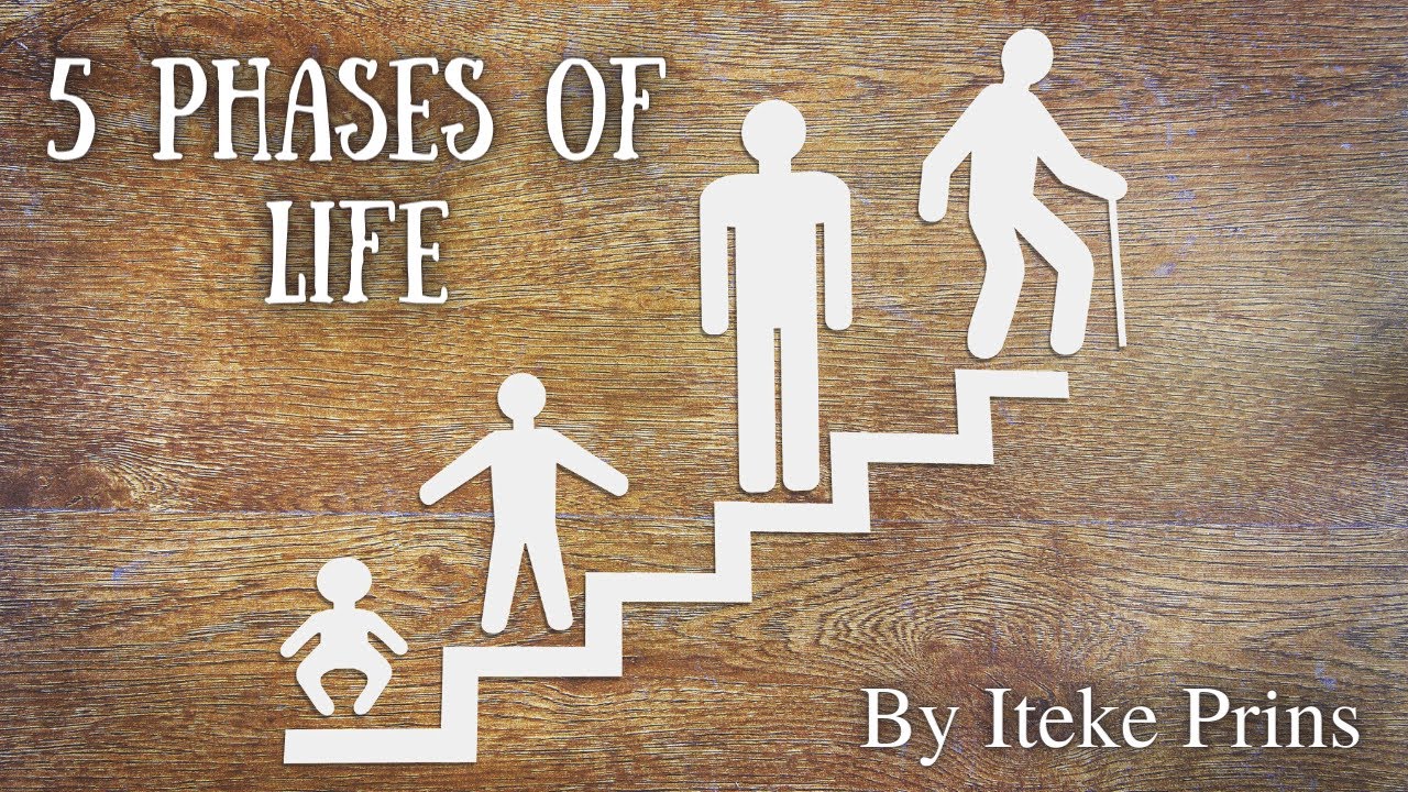 5 Phases of Life - YouTube