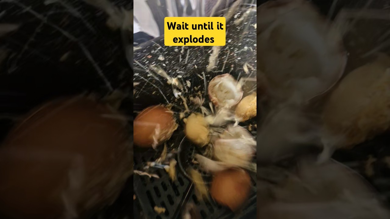 Google exploded my eggs #eggs #egg #explode #google #funny #fail #disaster #equestrian #epic ...