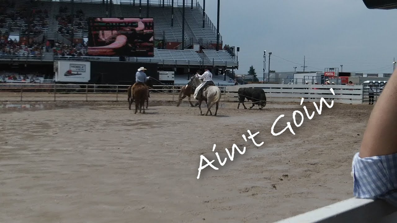 Rodeo Bull Says NOPE At Cheyenne Frontier Days - YouTube