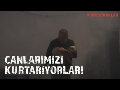 Ekip Canlarımızı Kurtarıyor 595. Bölüm
