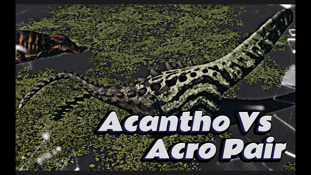 Acantho vs Acro pair 1v2 #priorextinction - YouTube