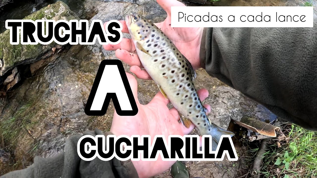 PESCA de TRUCHAS a CUCHARILLA en GALICIA #3 | Picadas a cada lance en ...