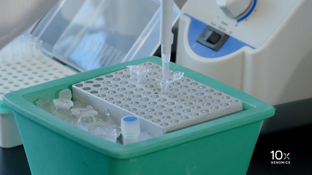 Single Cell Fixed RNA Profiling | Prepare GEM Master Mix and Sample ...