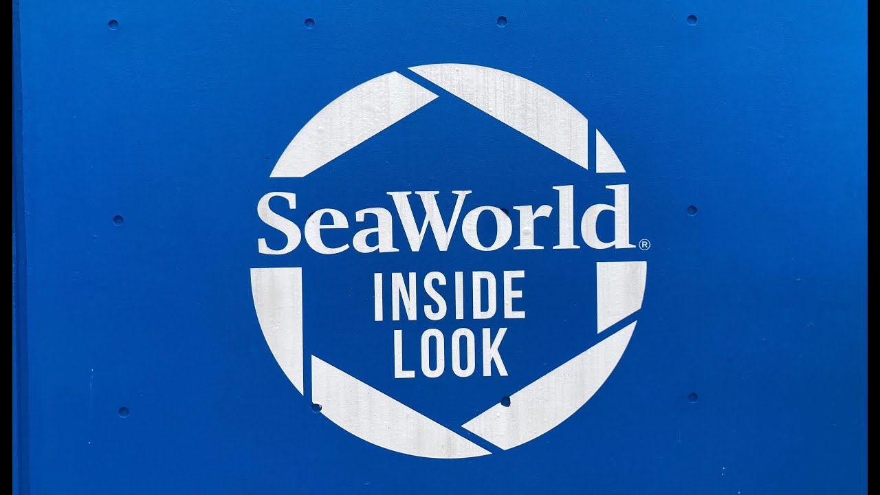 Seaworld Inside Look: Inside SeaWorld Rescue Center - YouTube