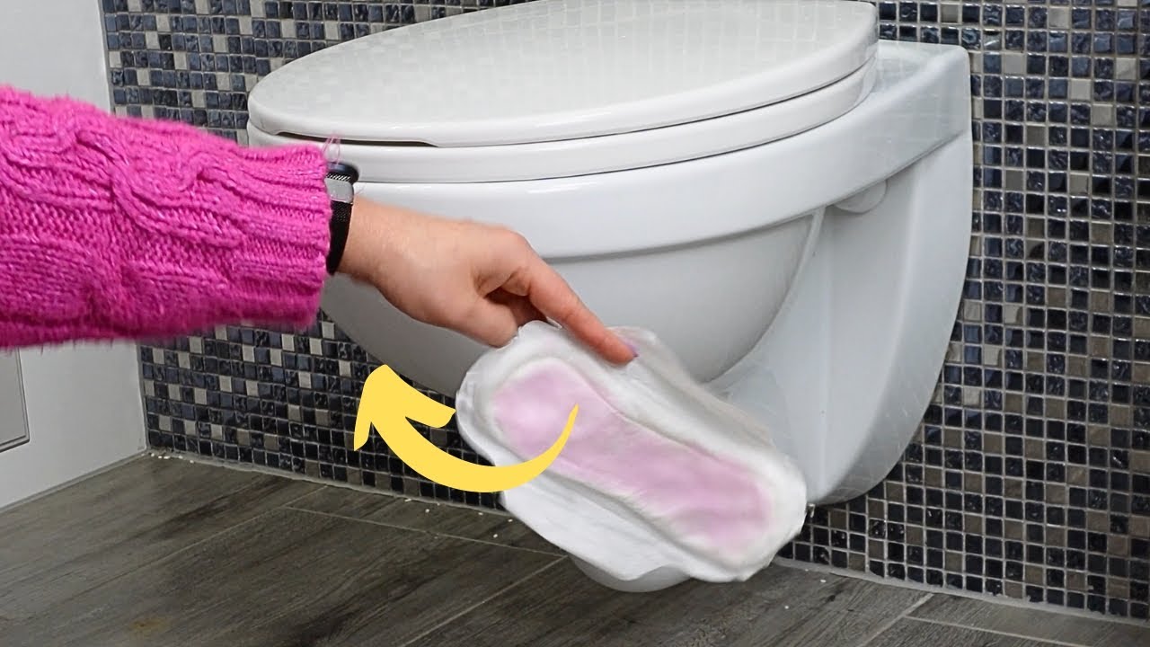 Did you know one sanitary pad can keep your toilet fresh for an entire ...